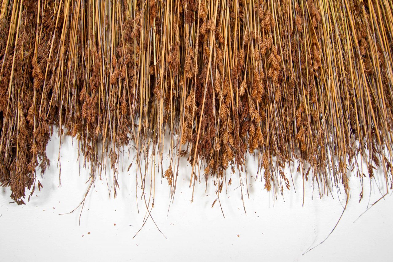 What is the Lifespan of Thatch Materials? - Africa Roofing UK
